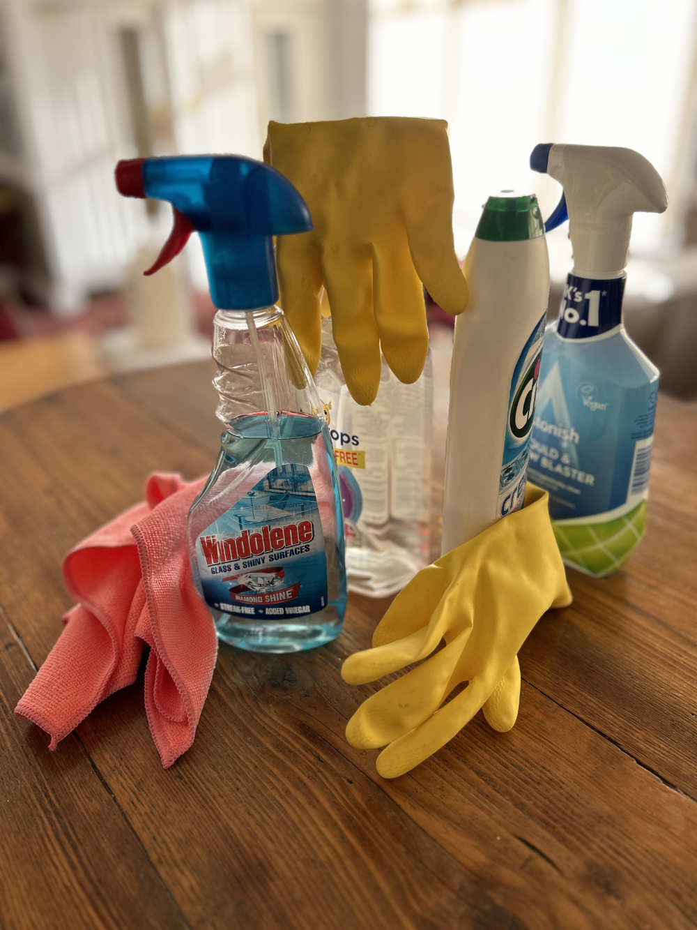 Cleaning Services - Becoming Visible at the heart of the Deaf Community